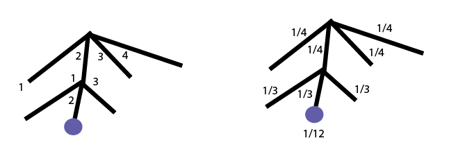 Probability and Tree Diagrams – Educational Aspirations