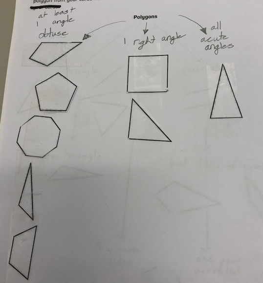 Classifying Polygons – Educational Aspirations